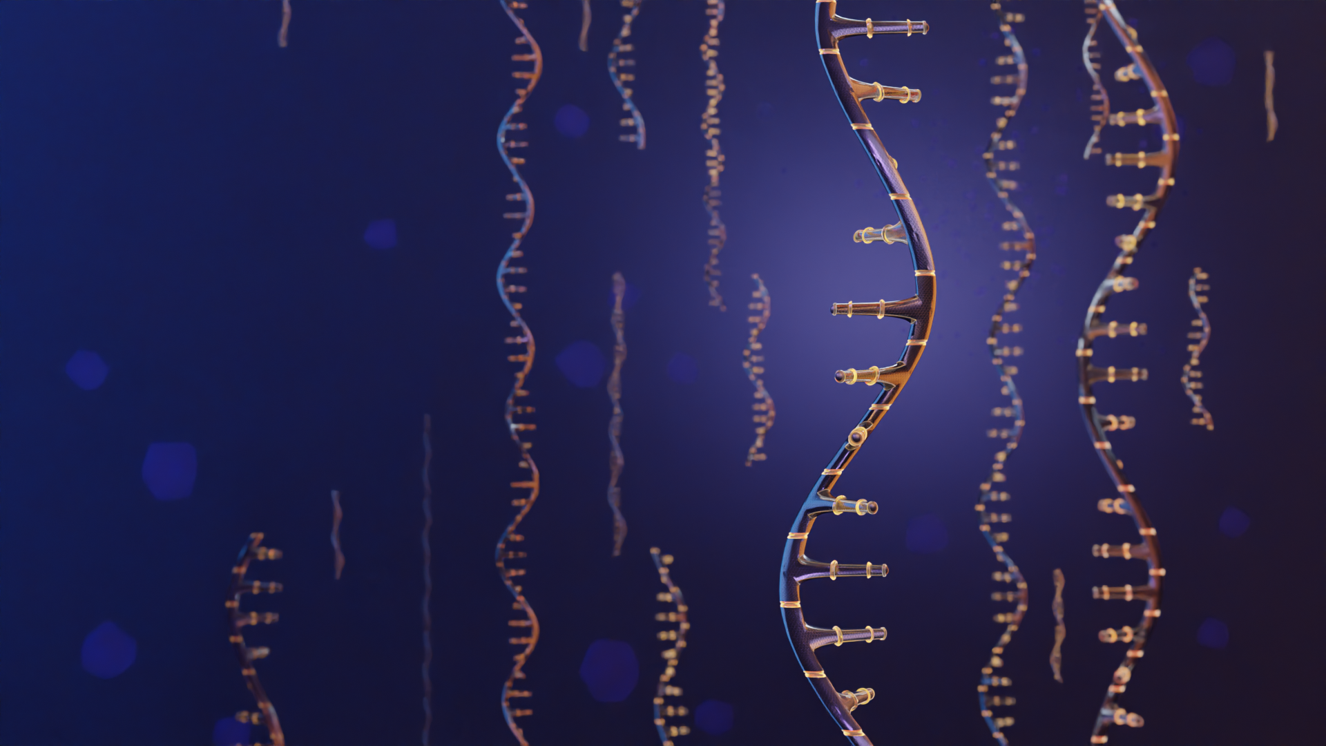 gxstrands | single-stranded DNA (ssDNA) on large scales