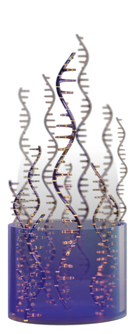 gxstrands® - single-stranded DNA on large scales