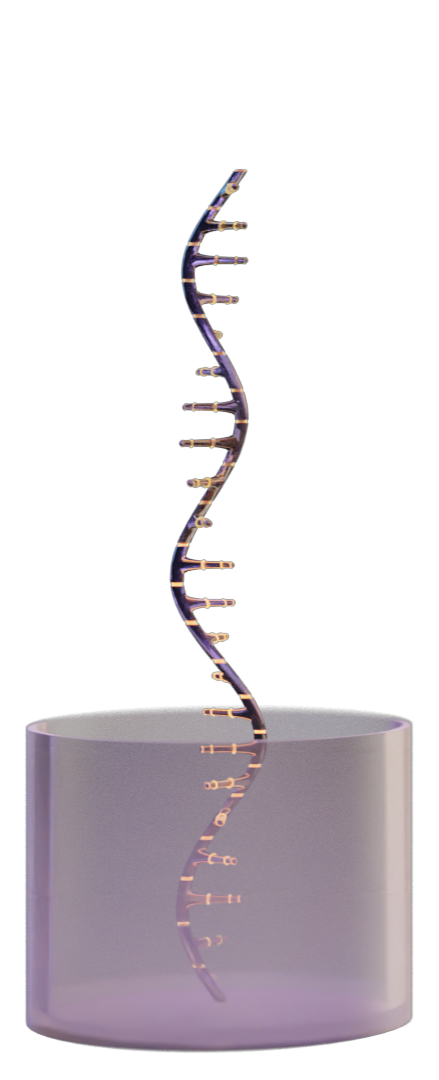 gxstrands® - single-stranded DNA on large scales