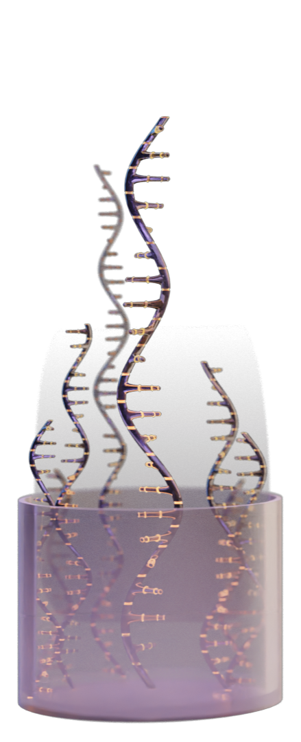 gxstrands® - single-stranded DNA on large scales