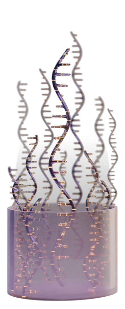 gxstrands® - single-stranded DNA on large scales