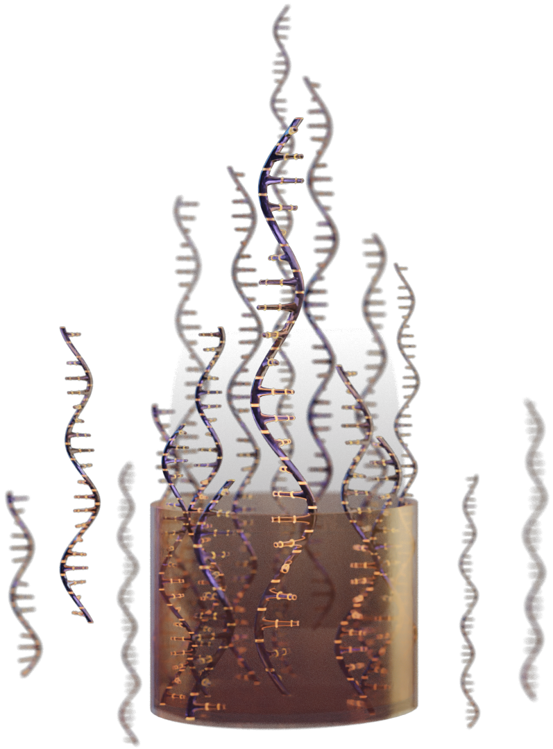 gxstrands® - single-stranded DNA on large scales